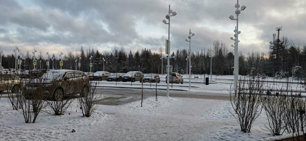 Tatil köyleri Турбаза, Volgogradskaya oblastı, foto