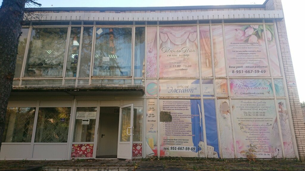 Terziler Тюльпан, Sosnoviy Bor, foto