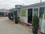Bombonici (Ialoveni), çocuk giyim mağazaları  Ialoveni'den