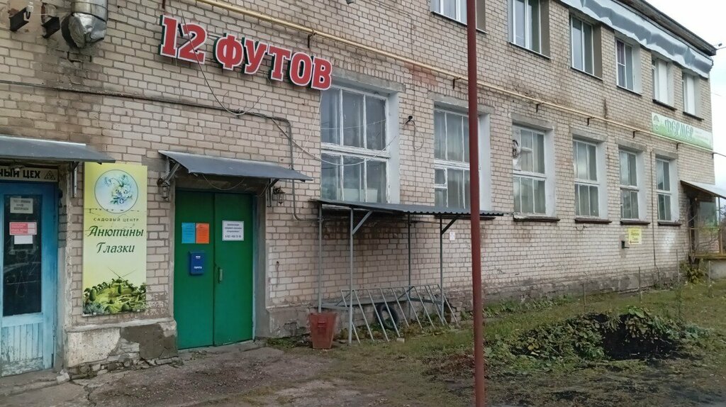 Sera ve bahçe ürünleri Анютины глазки, Kotlas, foto