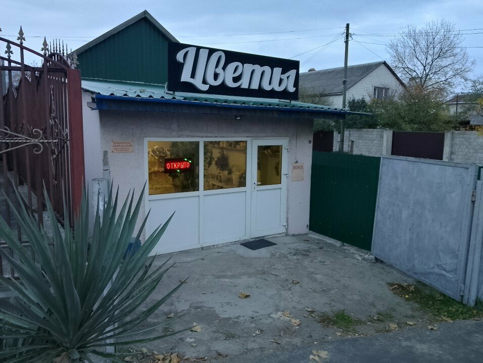 Çiçekçiler Magazin tsvetov, Novorossiysk, foto