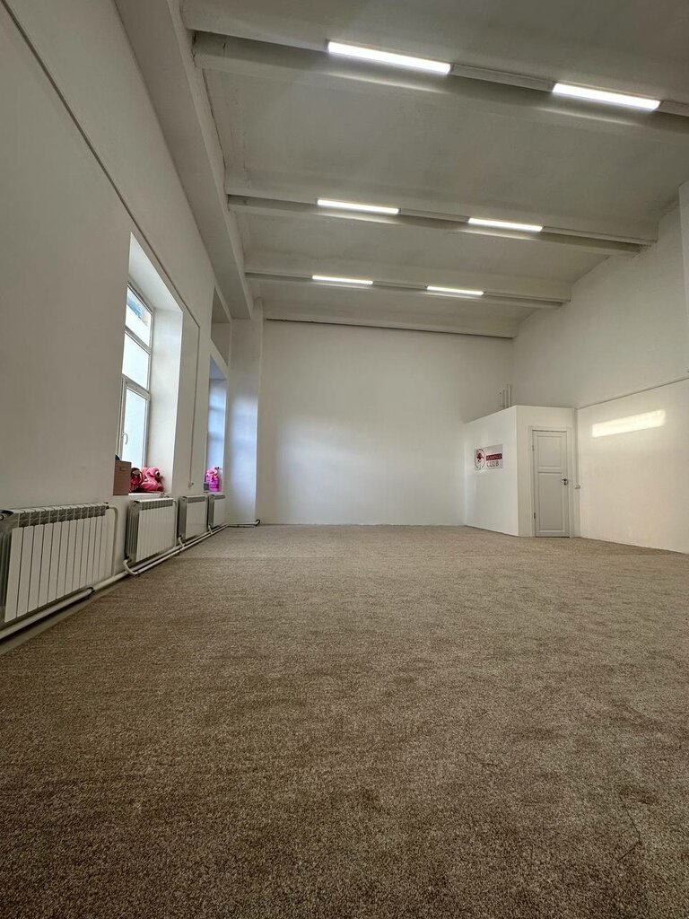 Spor kulüpleri Flamingo, Moskova, foto