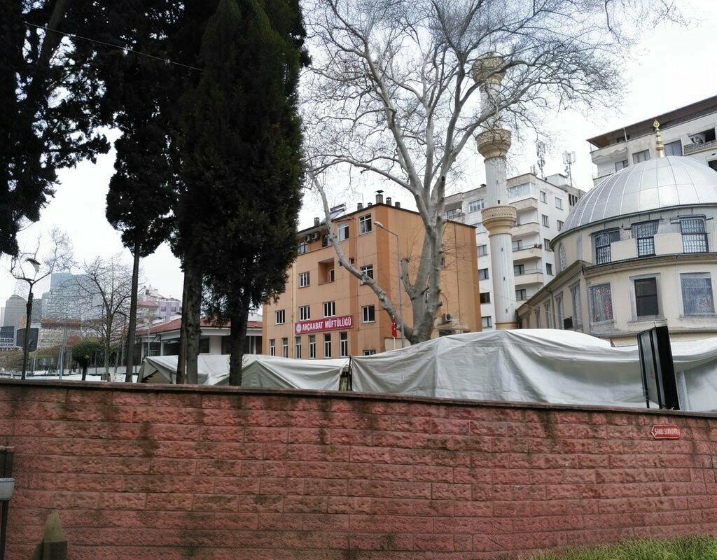 Turistik yerler Tarihi Çınar Ağacı, Akçaabat, foto