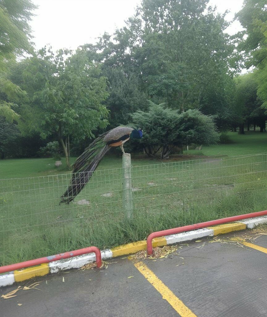 Kimyasal üretim firmaları Bi-Qem Kimya, Silivri, foto