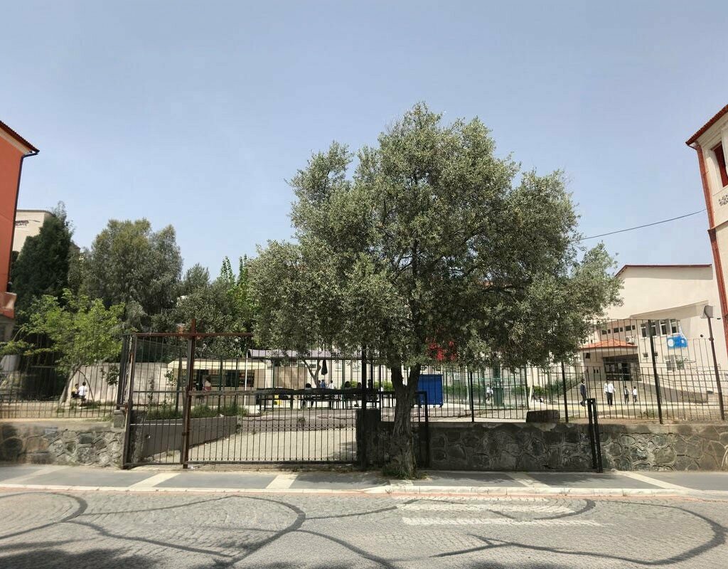 i̇lkokul Marmaris Evren Paşa İlkokulu, Marmaris, foto