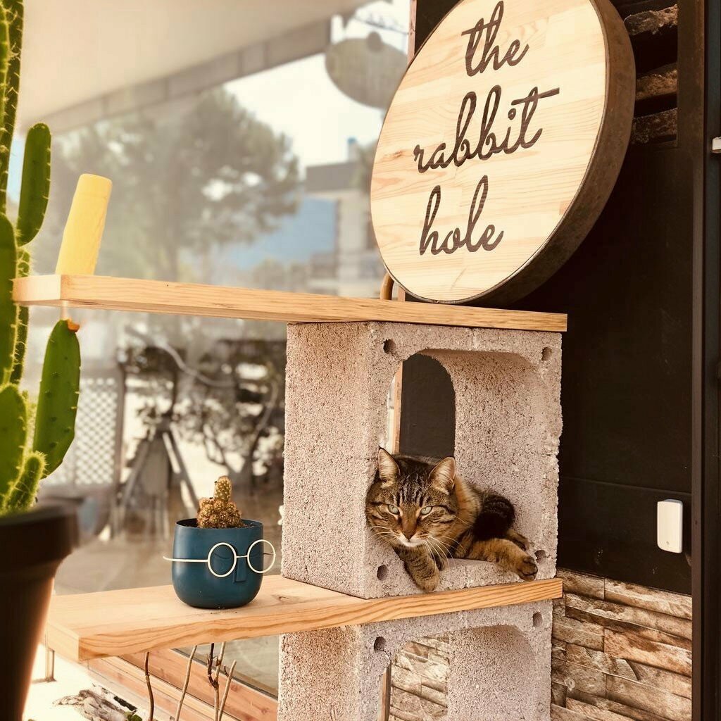 Restoran The Rabbit Hole Dalyan, Ortaca, foto