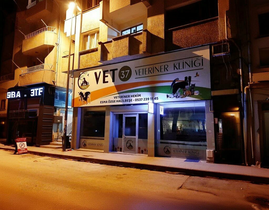 Veteriner klinikleri Vet 37 Esma Özge Halilbaşı, Kastamonu, foto