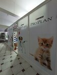 Cat and Dog (Petrov kóshesi No:24), petshop  Astana'dan