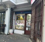 Zlatar (Belgrade County, Zemun, Donji grad, Magistratski Square, 2), kuyumcu atölyeleri  Sırbistan'dan