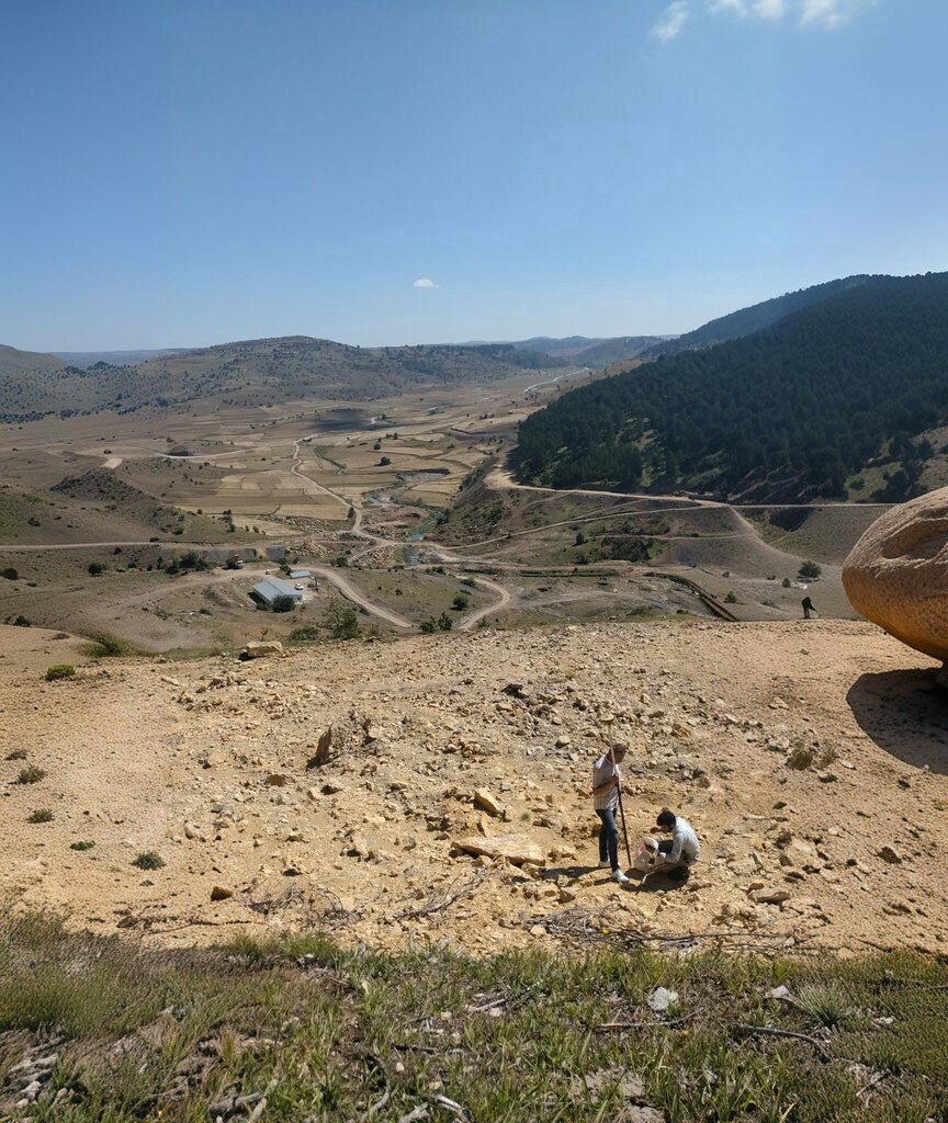 Harita planlama büroları Atlas Harita, Boyabat, foto