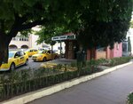Çınar Taksi (Zonguldak, Ereğli, Orhanlar Mah., Bozhane Çarşısı Sok.), taksi durağı  Dünya'dan