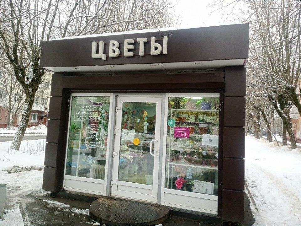 Çiçekçiler Floradisain, Friazino, foto