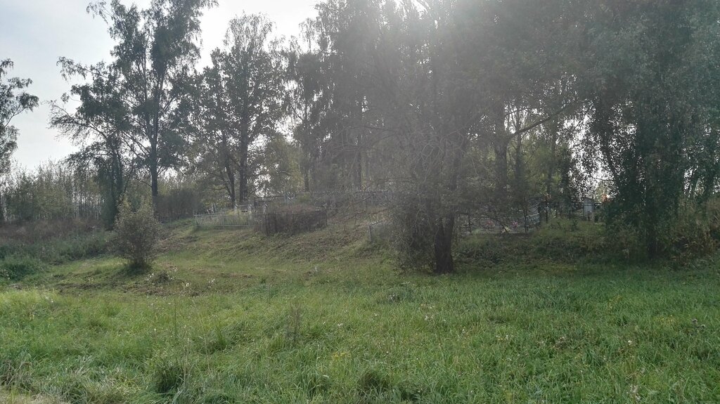 Mezarlıklar Любашковское кладбище № 2, Vitebskaya oblastı, foto