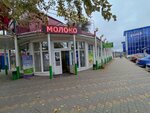 Varshava (ulitsa Chebyshyova No:7Л), market  Voronej'den