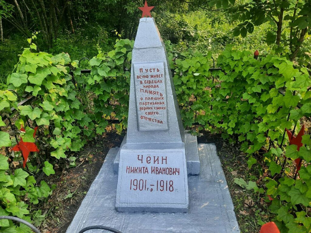 Anıt, heykel Партизану Никите Чеину, Primoriye, foto