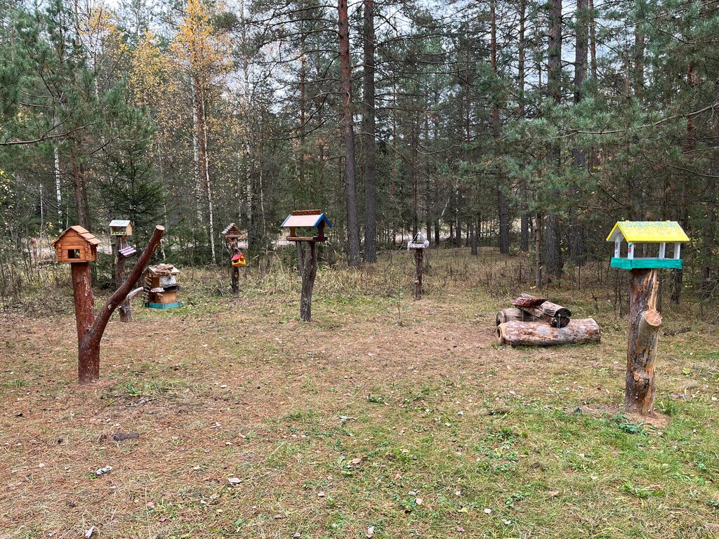 Unutulmaz olayların yeri Город птиц, Moskova ve Moskovskaya oblastı, foto