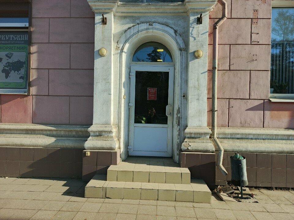 Sivil toplum kuruluşları Общероссийский народный фронт, Irkutsk, foto