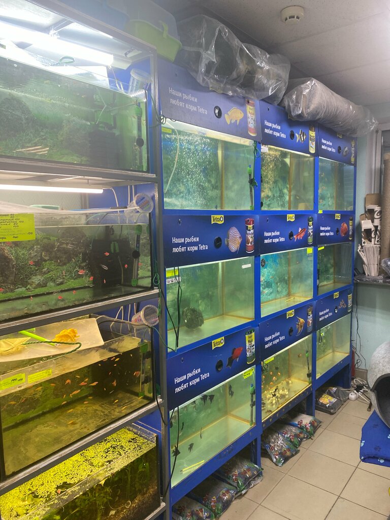 Petshop Аквазоосад, Nijni Novgorod, foto