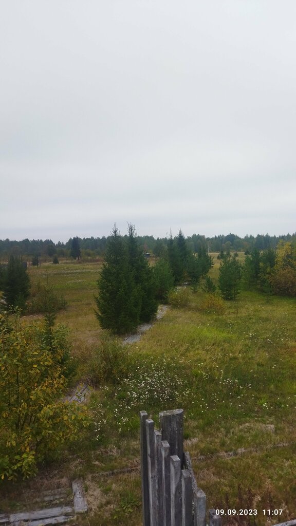 Yük istasyonu станция Локчим, Komi, foto