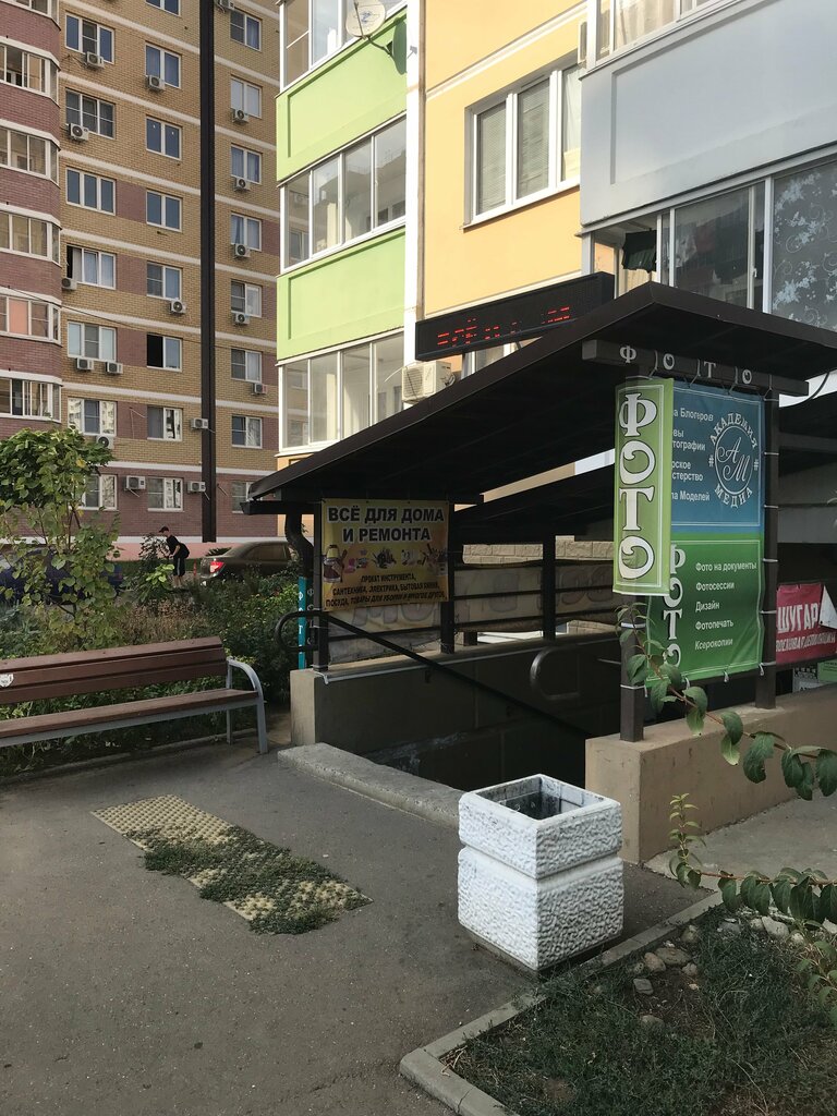 Epilasyon Blackberry, Krasnodar, foto