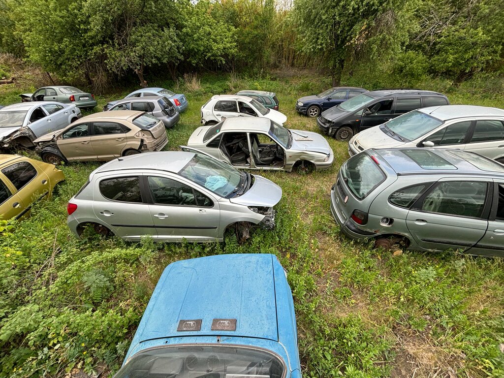 Çıkma yedek parça Car_King_31, Belgorodskaya oblastı, foto