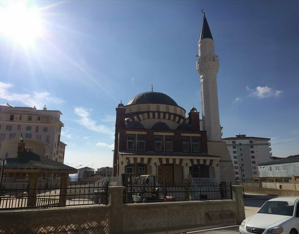 Cami Toki Cami, Elazığ, foto