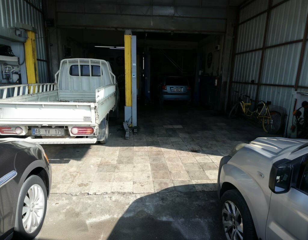 Otomobil servisi Profesyonel Servis, İzmir, foto