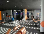 Blue Fitness Club Kayseri (Mevlana Mh., Cemil Baba Cd., No: 43, Anayurt, Talas, Kayseri), spor ve jimnastik salonları  Talas'tan