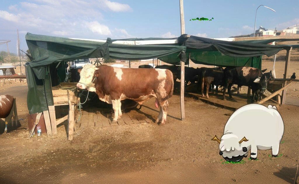 Su satışı Akdağlı Ticaret, Aliağa, foto