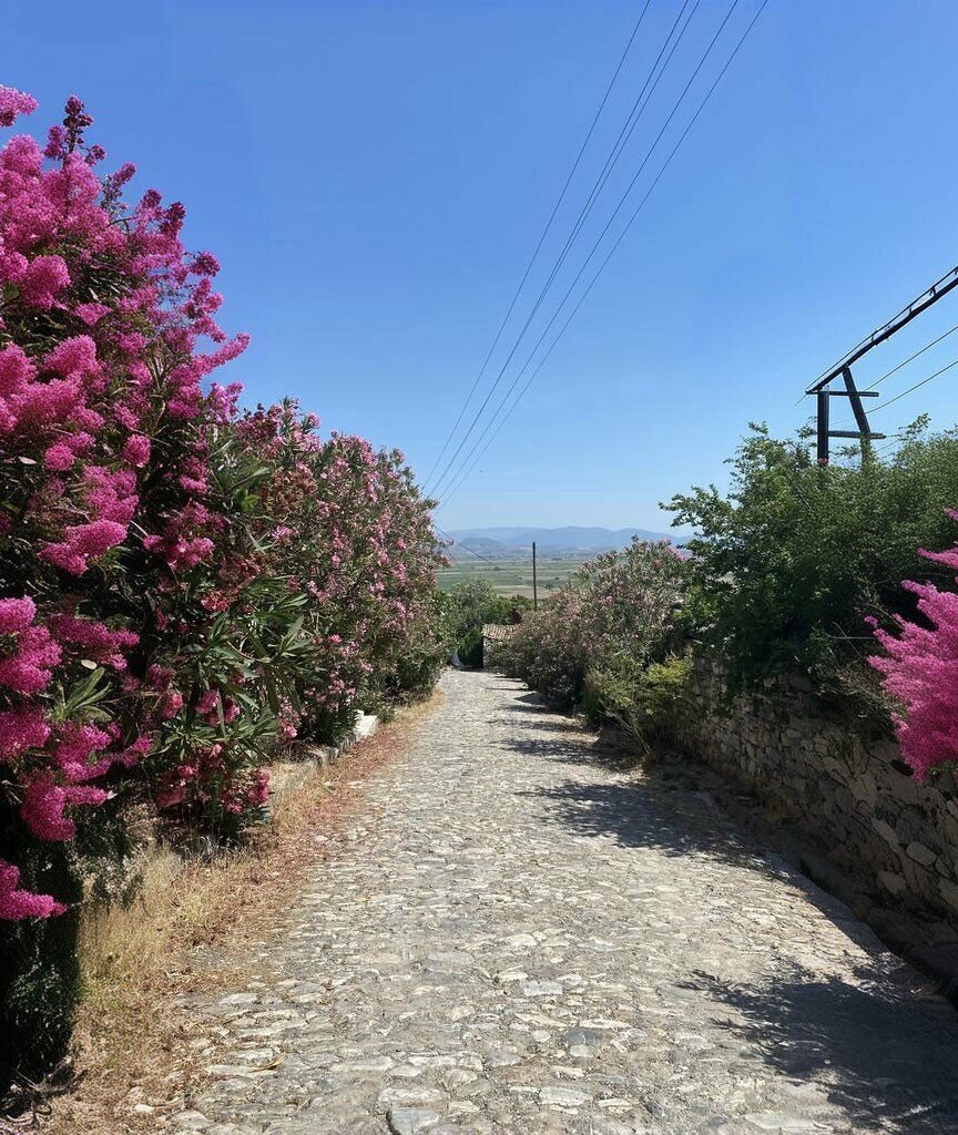 Turistik yerler Aziz Nikolaos Kilisesi, Söke, foto