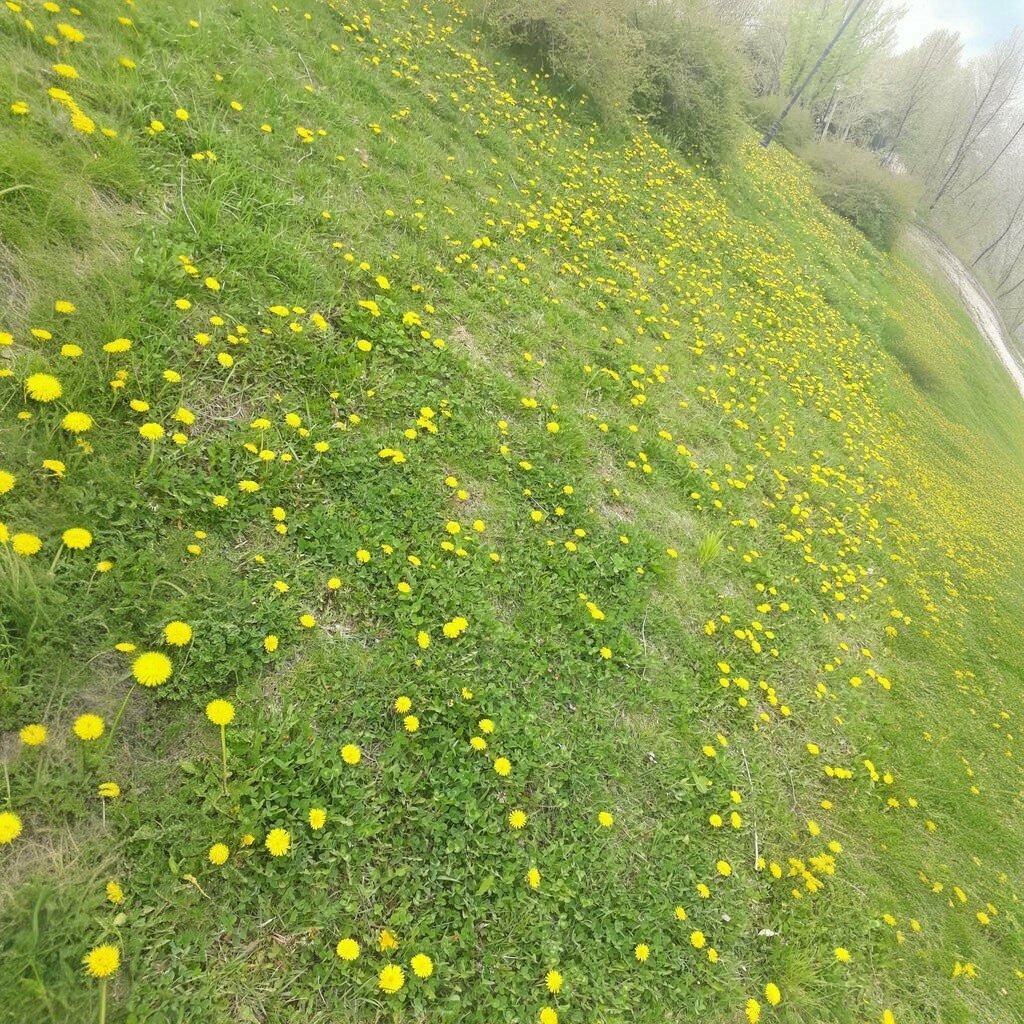 Afet ve acil durum toplanma alanı Toplanma Alanı - Özgürlük Parkı, Ankara, foto