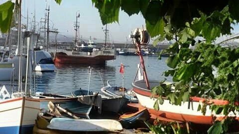 Muhtarlıklar Gebe Köy Muhtarlığı, Ereğli, foto