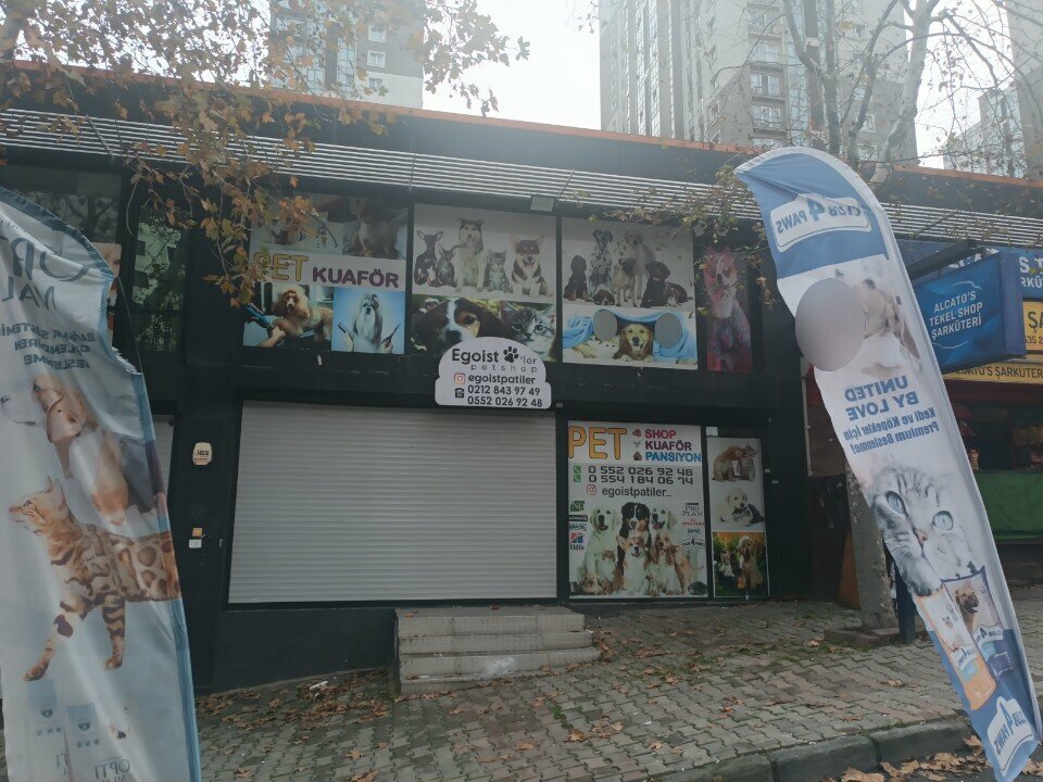 Petshop Egoistpatiler petshop & Pet Kuaför, İstanbul, foto