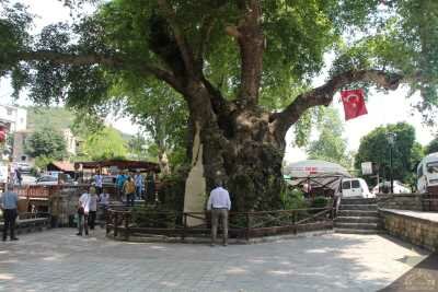 Müzeler ve sanat galerileri Hıdır Bey Ağacı, Samandağ, foto