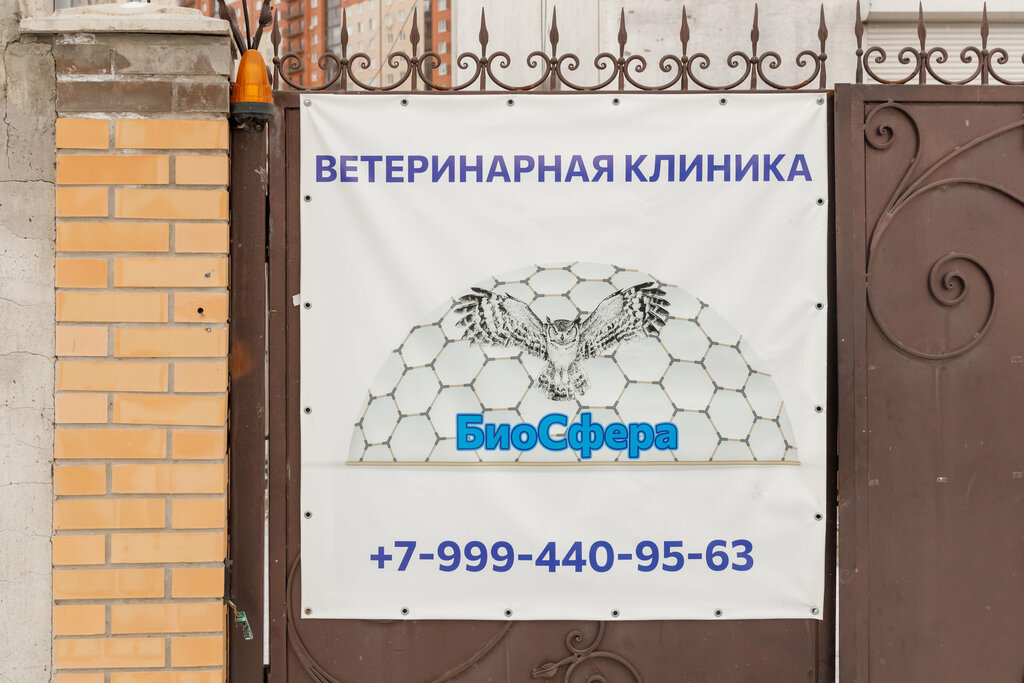 Veteriner klinikleri BioSfera, Krasnoyarsk, foto