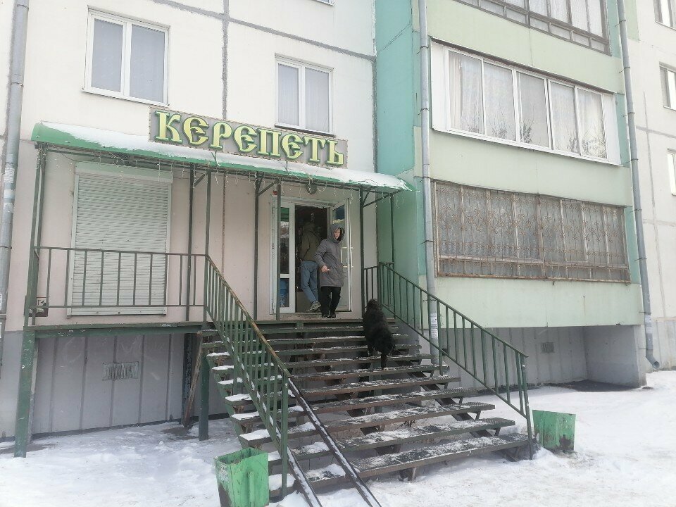 Ödeme terminali Payment terminal, Tomsk, foto