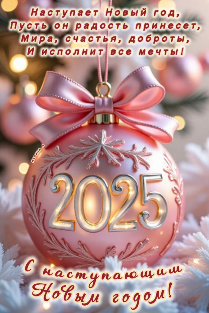 Ortaokul School No. 24, Andican eyaleti, foto