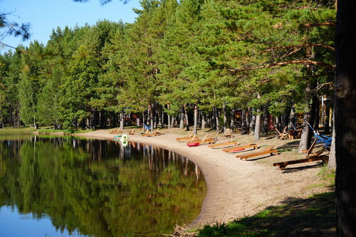 Resort oteller, tesisler Neptune, Pskovskaya oblastı, foto