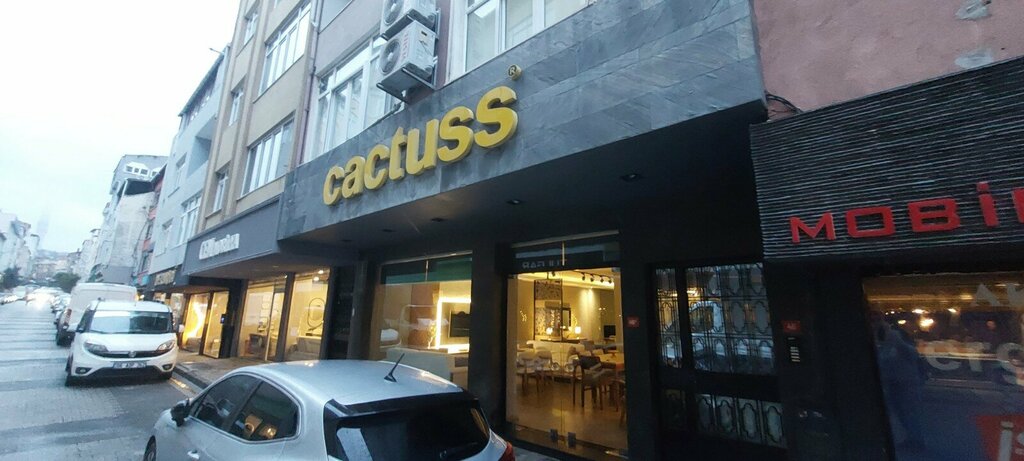 Mobilya mağazaları Cactuss Mobilya, İstanbul, foto