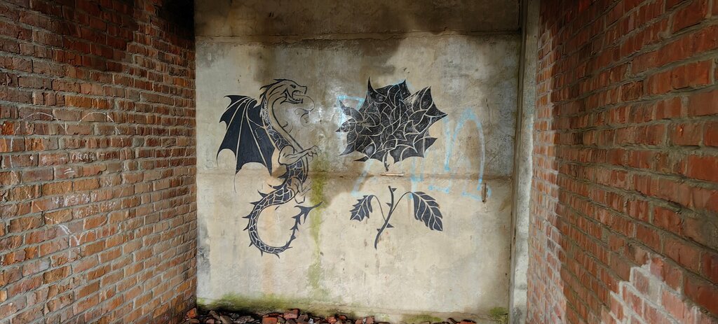 Turistik yerler Заброшенный лечебно трудовой профилакторий, Smolensk, foto