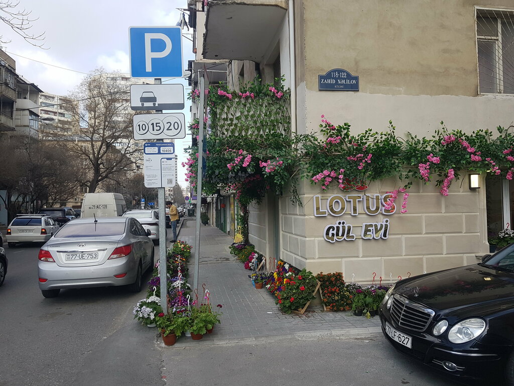 Çiçekçiler Lotus Gül Evi, Bakü, foto