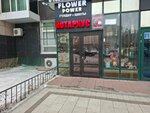 Flower Power (Dinmukhamed Kunayev Street No:35/2), çiçekçiler  Astana'dan