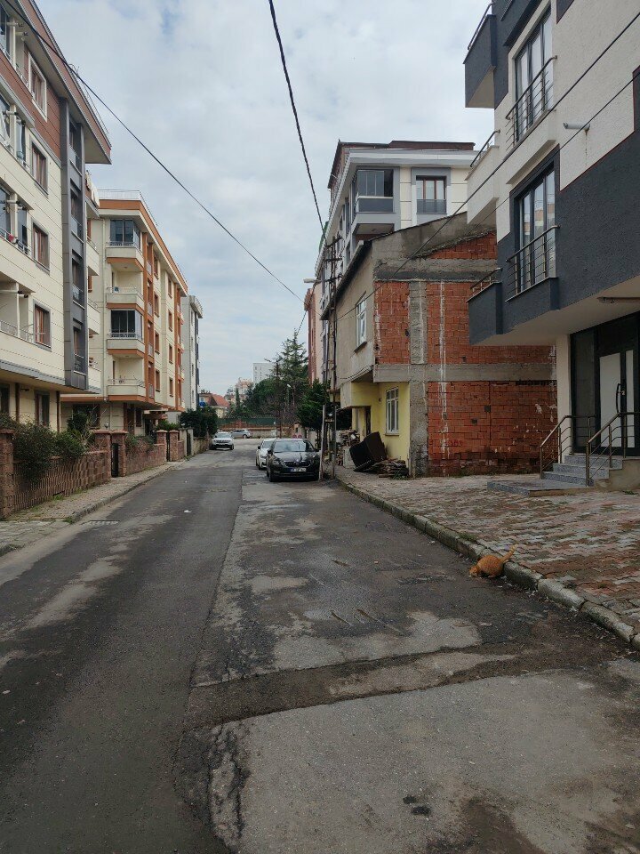 Otomobil servisi Rmz Otomotiv - Özel Servis Tamir/Bakım Renault - Dacia, İstanbul, foto