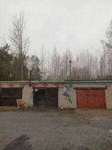 Автосервис, автотехцентр (Moscow Region, Shatura Municipal District, Roshal), otomobil servisi  Roşal'dan