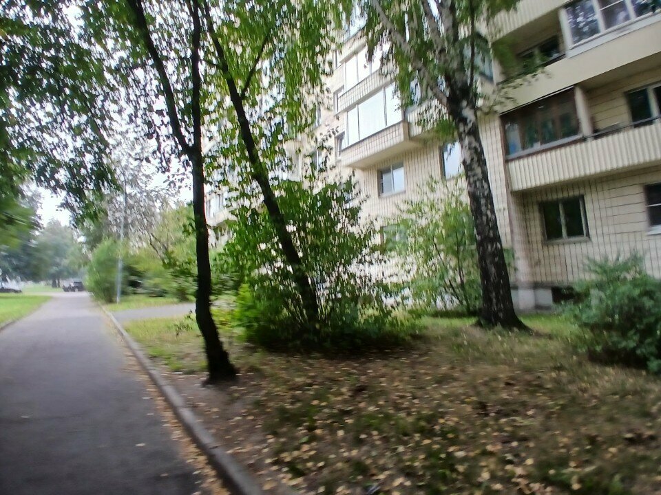 Teslimat noktası Camerger, Saint‑Petersburg, foto