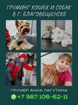 Груминг (Kommunisticheskaya ulitsa No:12), evcil hayvan kuaförleri  Blagoveşçensk'ten