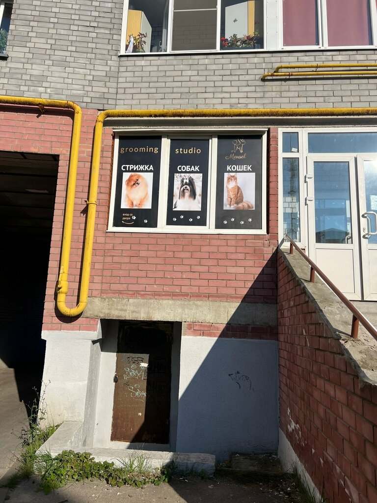 Evcil hayvan kuaförleri Marsel, Kstovo, foto