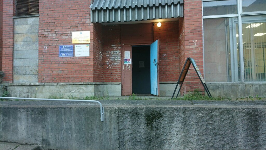 Çocuk gelişim merkezleri Куча мала, Sosnoviy Bor, foto