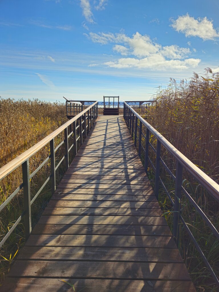 Seyir terası Observation deck, Saint‑Petersburg, foto