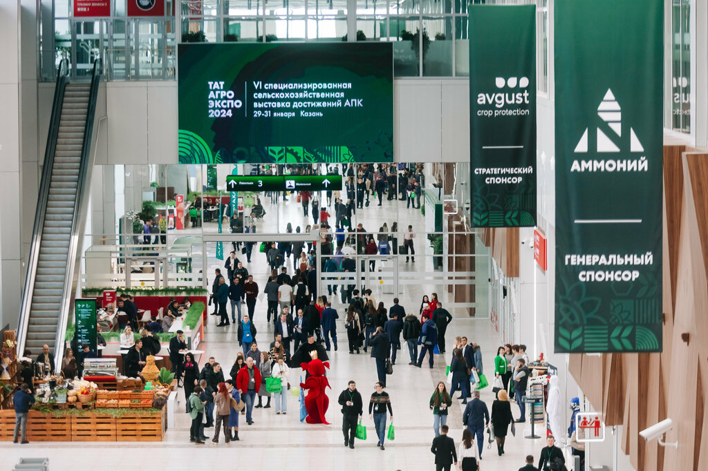 Etkinlik organizasyonu Проект, Kazan, foto